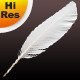 Photo-Realistic Isolated Feather, Isolated Objects | GraphicRiver