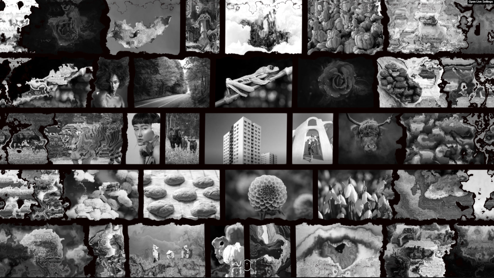 Shader Grid WordPress and WooCommerce Plugin by FWDesign | CodeCanyon