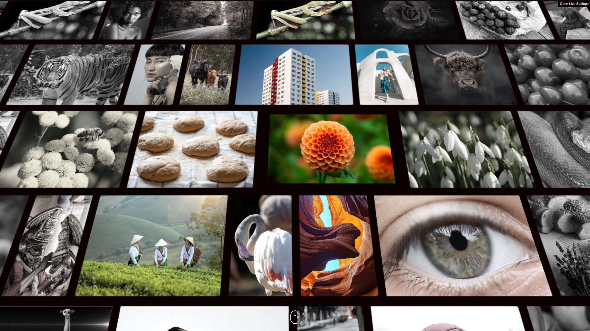 Shader Grid WordPress and WooCommerce Plugin by FWDesign | CodeCanyon