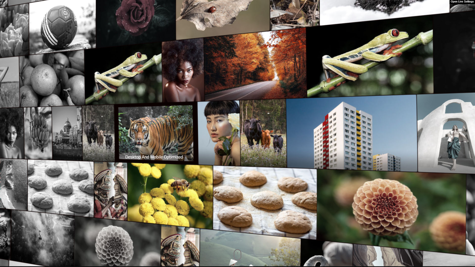 Shader Circular Carousel WordPress and WooCommerce Plugin by FWDesign