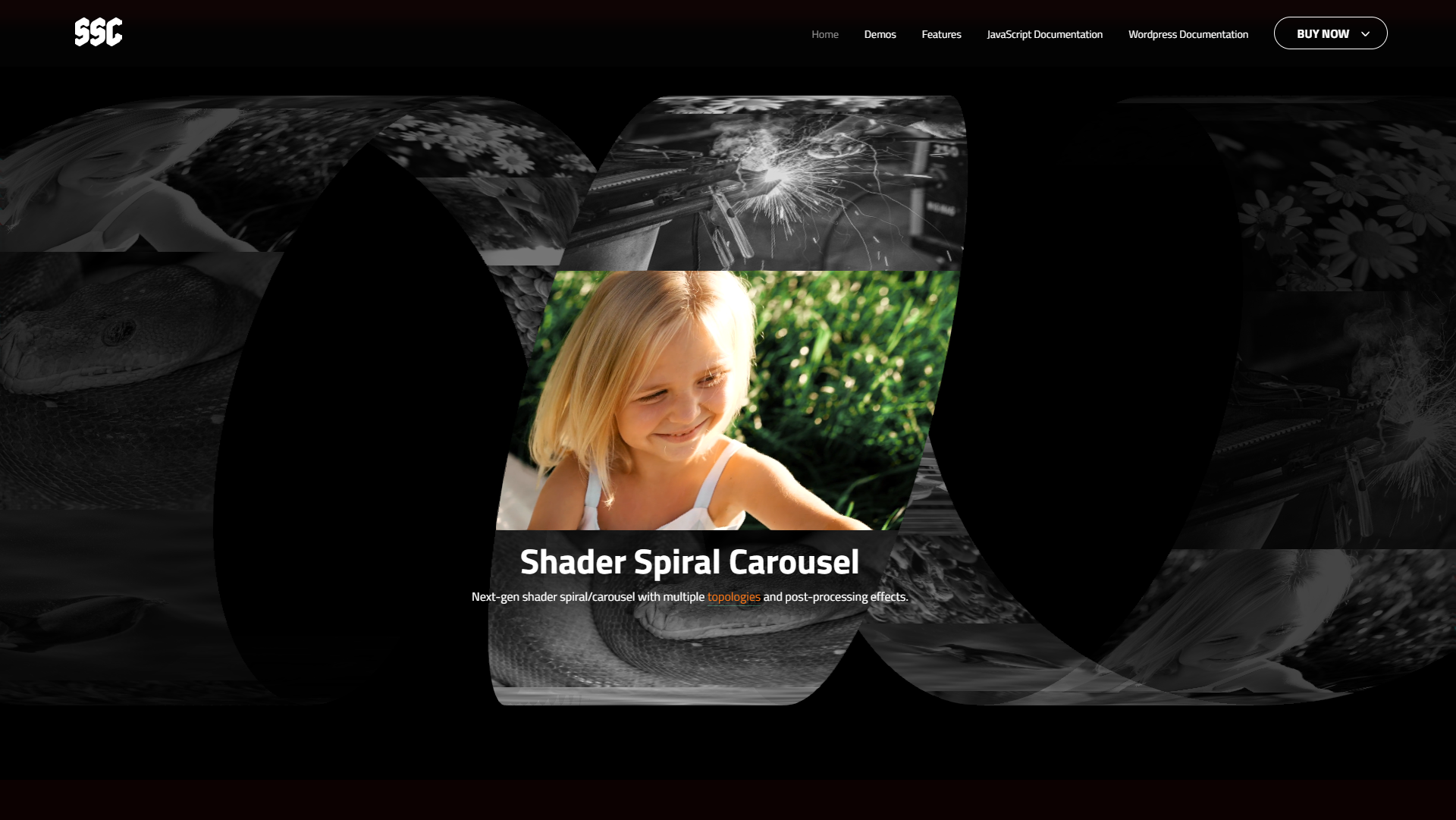 Shader Spiral Carousel WordPress and WooCommerce Plugin by FWDesign