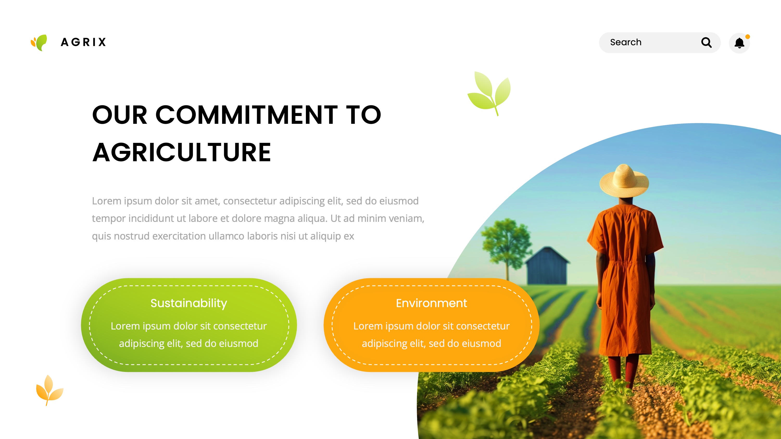 Agriculture PowerPoint, Presentation Templates | GraphicRiver