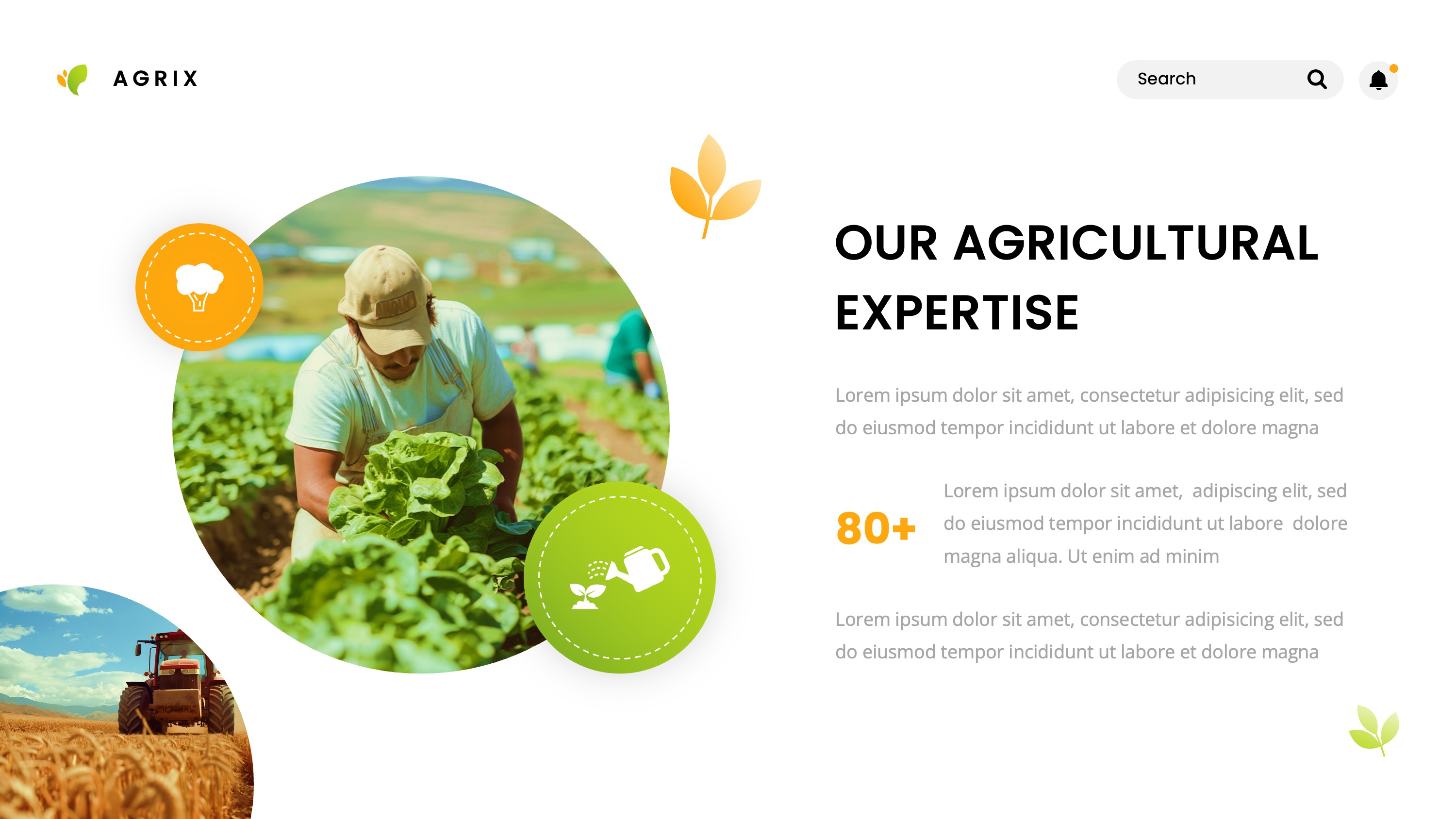Agriculture PowerPoint, Presentation Templates | GraphicRiver