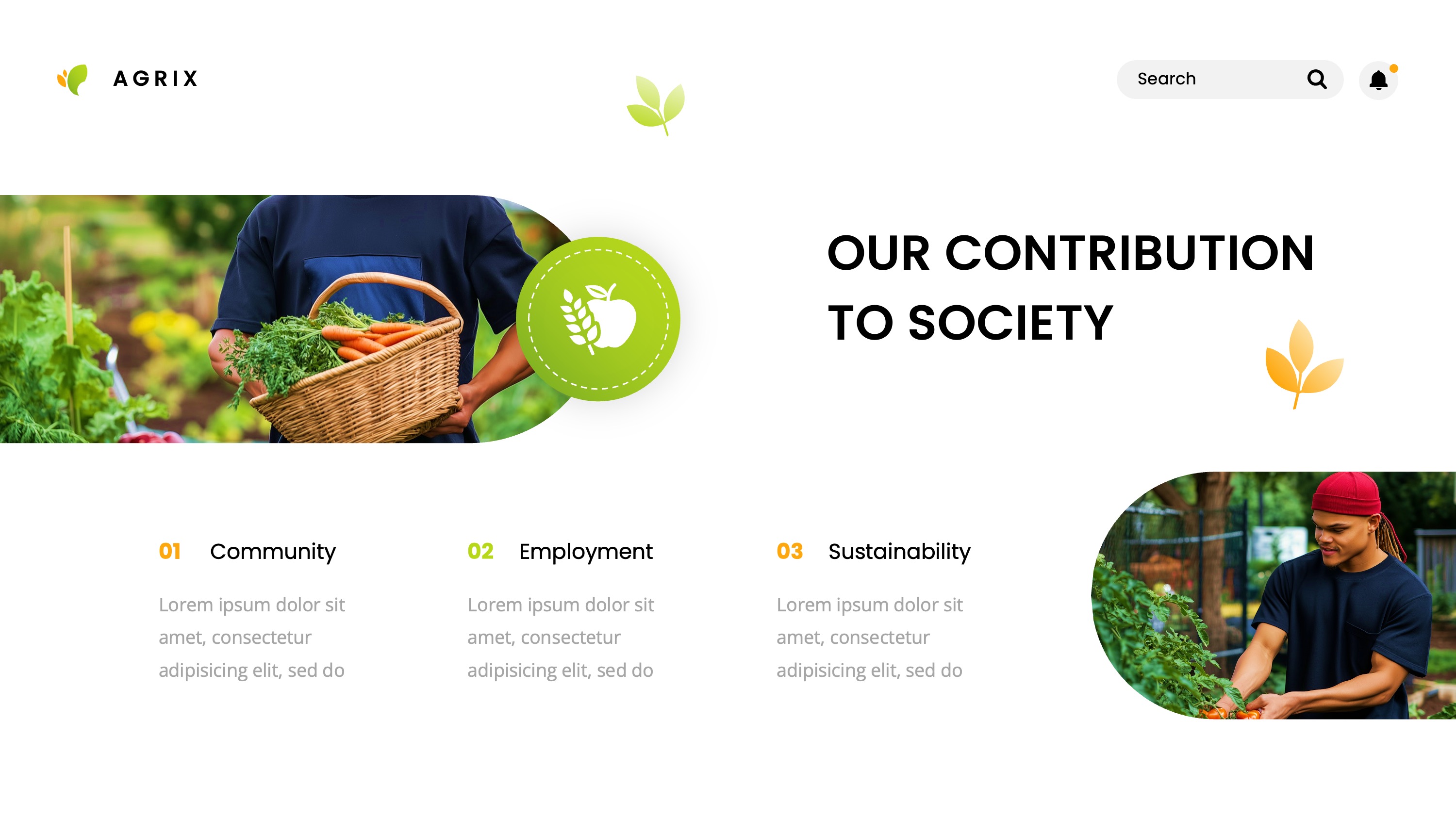 Agriculture PowerPoint, Presentation Templates | GraphicRiver