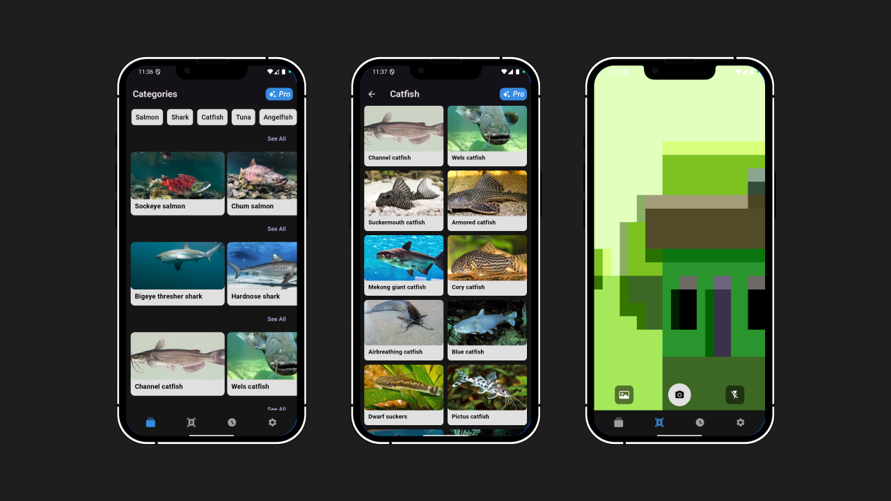 AI Fish Indetifier | Flutter Android/iOS Full Application | Premium Plan by UnikAppsLight