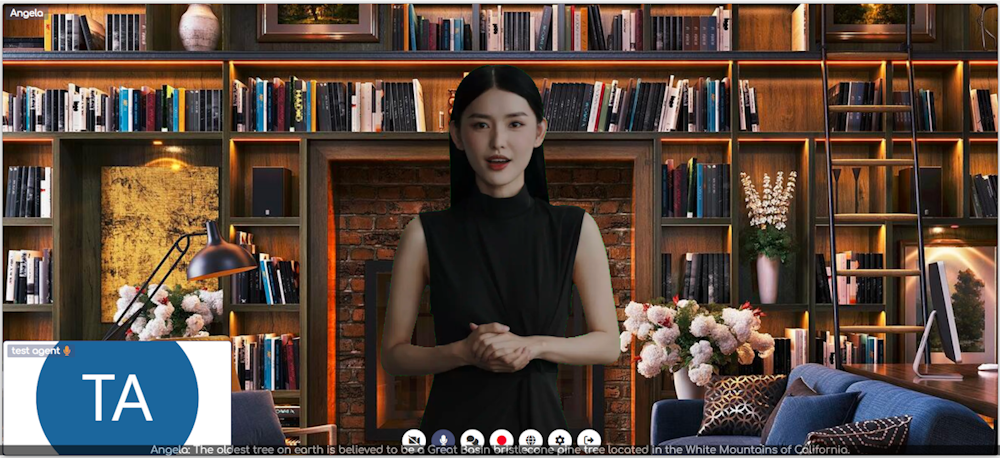 LiveSmart Server Video - Online Conference and Streaming, Live AI by nicky75