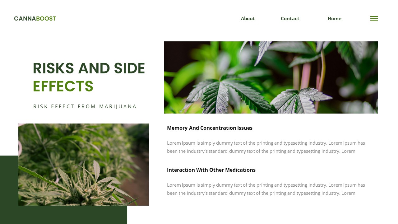 Medical Marijuana PowerPoint, Presentation Templates | GraphicRiver