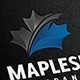 Maplesis Logo, Logo Templates | GraphicRiver