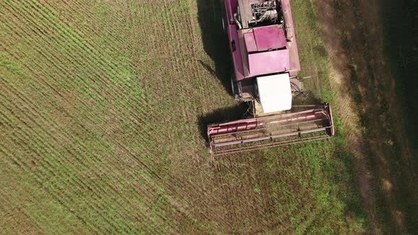 Harvester of a Combine Harvester Reaping Grain Crops, Stock Footage