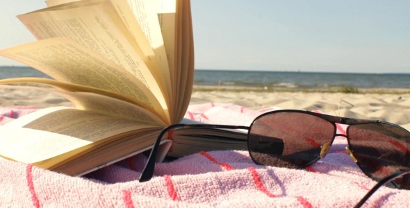 Reading On The Seashore, Stock Footage | VideoHive
