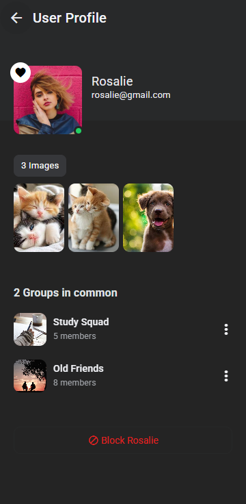 Hookee - PWA Chat App | Angular 19, Node.js, MongoDB & Socket.io Chat ...