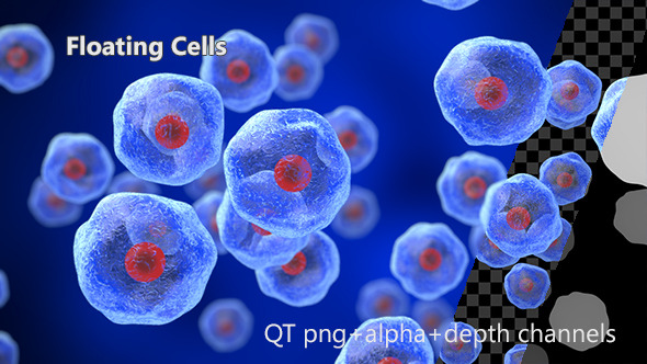 Floating Cells, Motion Graphics | VideoHive