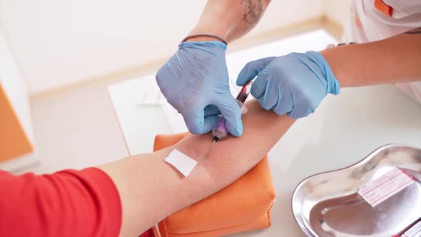 Process of taking a blood sample from vein., Stock Footage | VideoHive