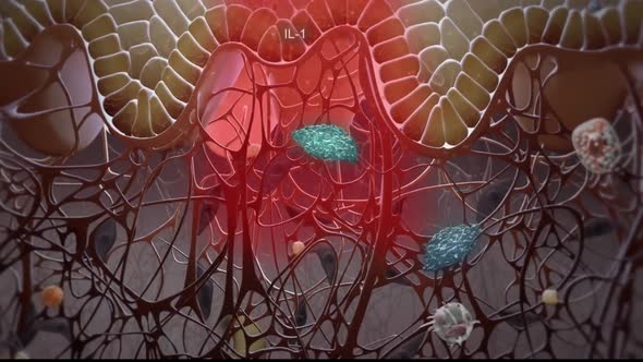 3D Microbiology Animation of Immunology of the skin, Motion Graphics