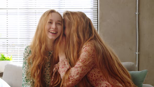 Beautiful Twin Sisters Have Fun Talking Sharing Secrets and Laughing ...