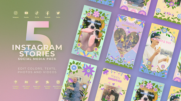 Instagram Reel Vertical, After Effects Project Files | VideoHive