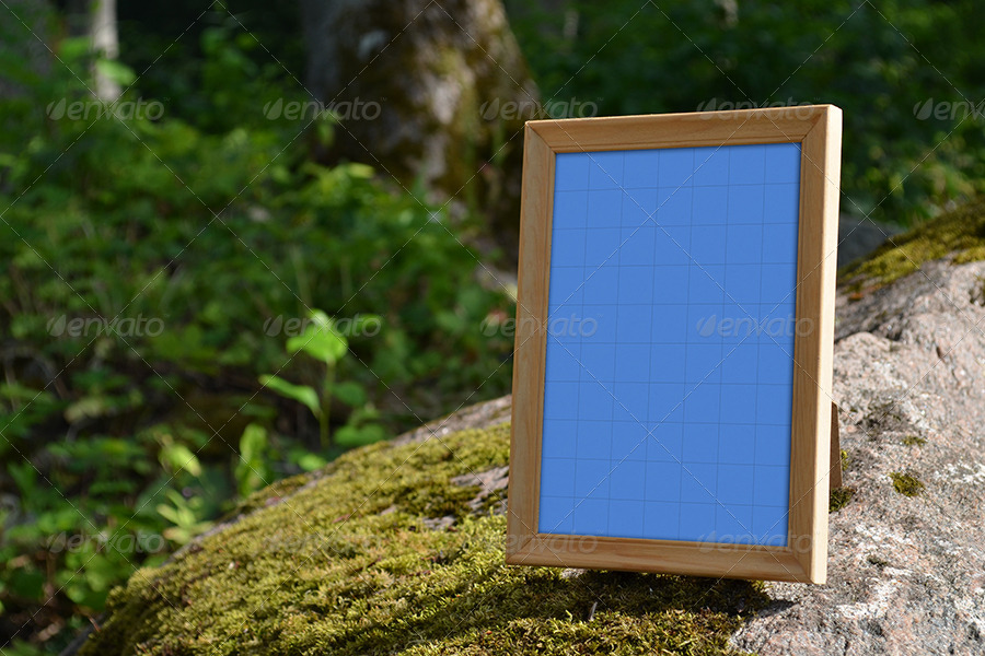 Photo Frames in Nature, Graphics | GraphicRiver