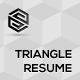 Triangle Style Resume, Print Templates | GraphicRiver