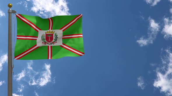 Curitiba City Flag (Brazil) On Flagpole, Motion Graphics | VideoHive