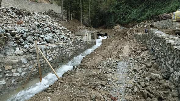 Stream reclamation on forest, Stock Footage | VideoHive