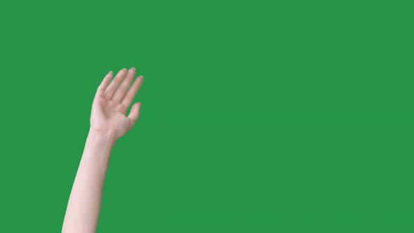 Farewell Gesture Leaving Goodbye Hand Waving Bye, Stock Footage | VideoHive