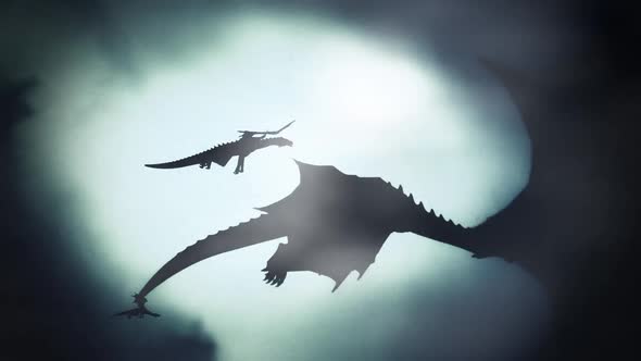 Group Of Dragons Flying In A Winter Sky Against The Wind, Motion Graphics