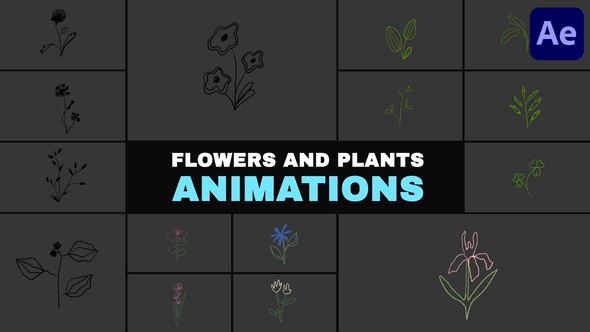 Flowers and Plants Animations | After Effects, After Effects Project Files