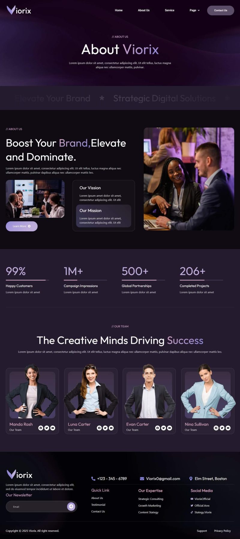 Viorix - Digital Marketing Agency Elementor Template Kit by Kitpro