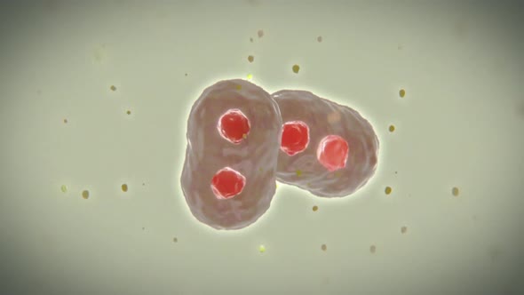 3D Medical Animation of cell division, Motion Graphics | VideoHive