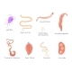 Human Parasites, Vectors | GraphicRiver