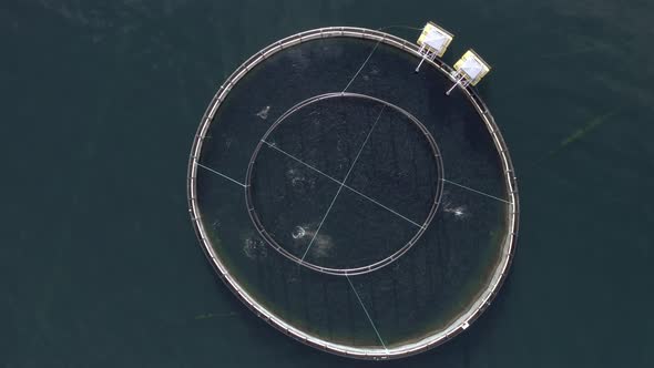 Bird's Eye View of an Aquaculture Fish Farm, Stock Footage | VideoHive