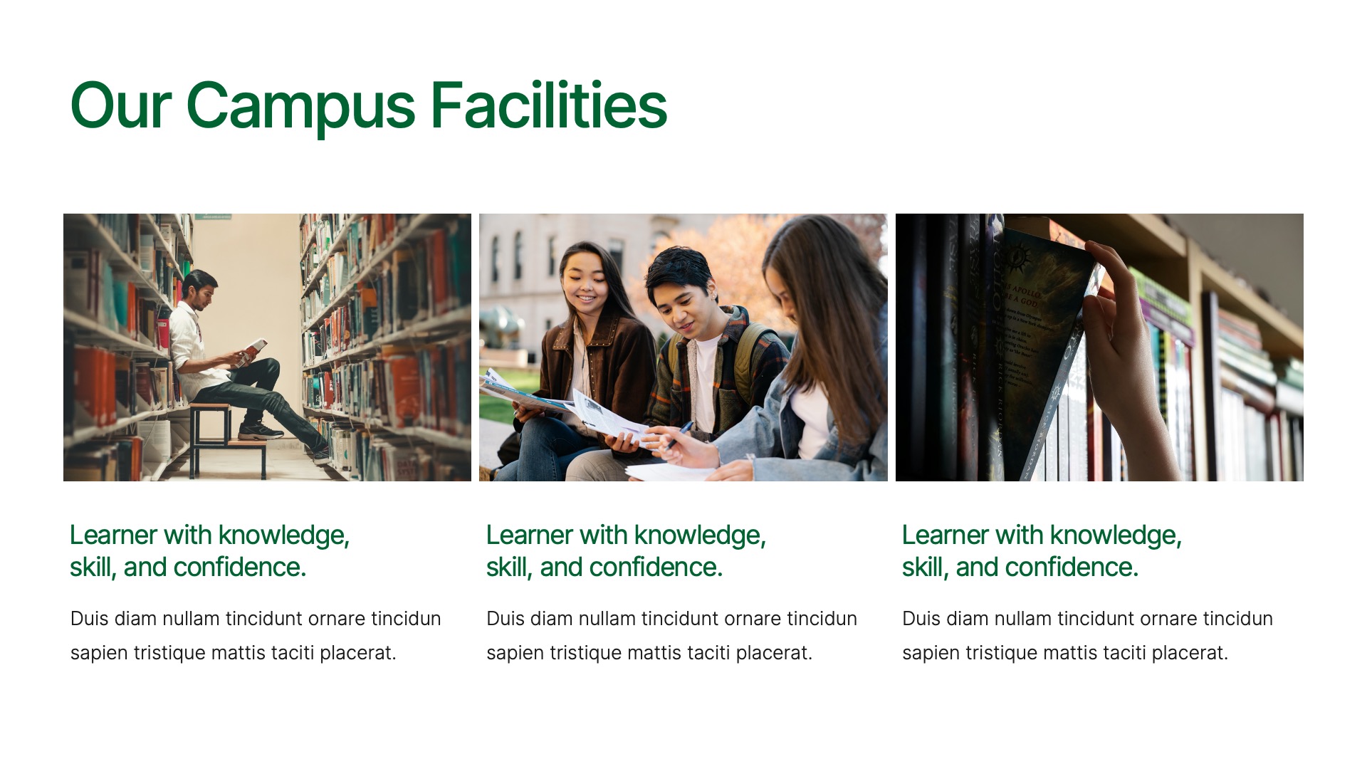 Academic PowerPoint Template, Presentation Templates | GraphicRiver