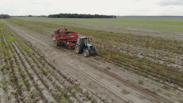 Harvesting of Root Crops Trailed Potato Harvester with Sorter on Board ...
