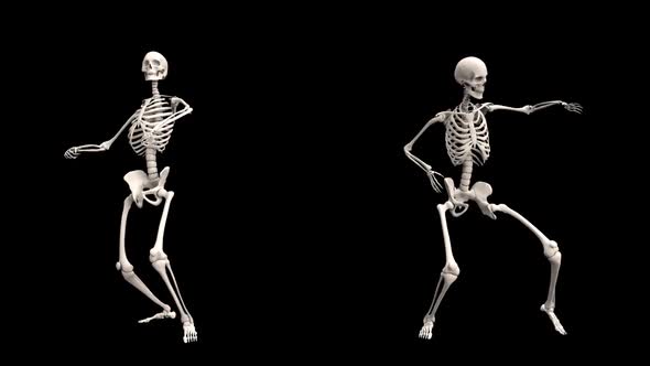 Skeleton Dancing Twist, Motion Graphics | VideoHive
