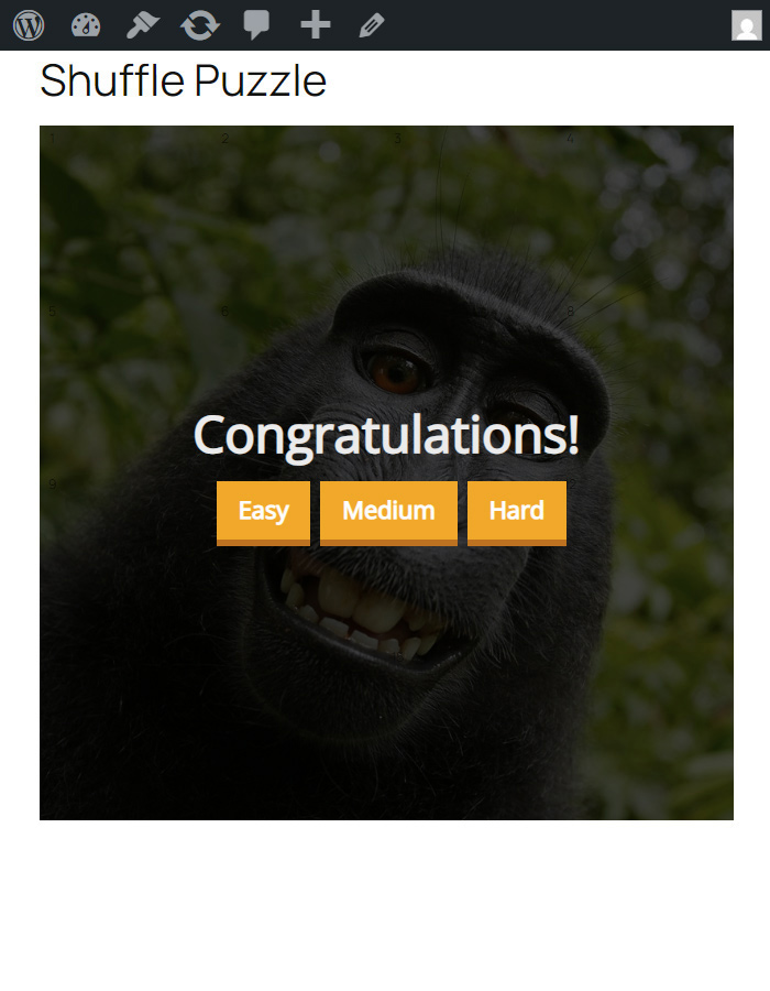 WP Shuffle Puzzle by AnatolFisher | CodeCanyon