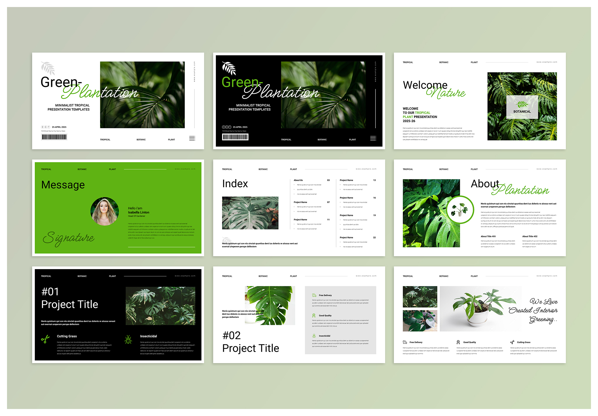 Botanic Portfolio Keynote Presentation Template, Presentation Templates