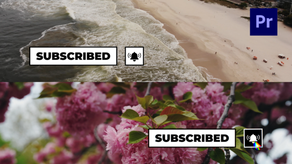 Social Media Buttons Lower Thirds /Pr, Premiere Pro Templates | VideoHive