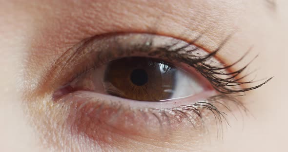Close up view of a brown eye, Stock Footage | VideoHive