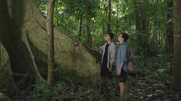 Tour Guide Explaining About Forest To Tourist, Stock Footage | VideoHive