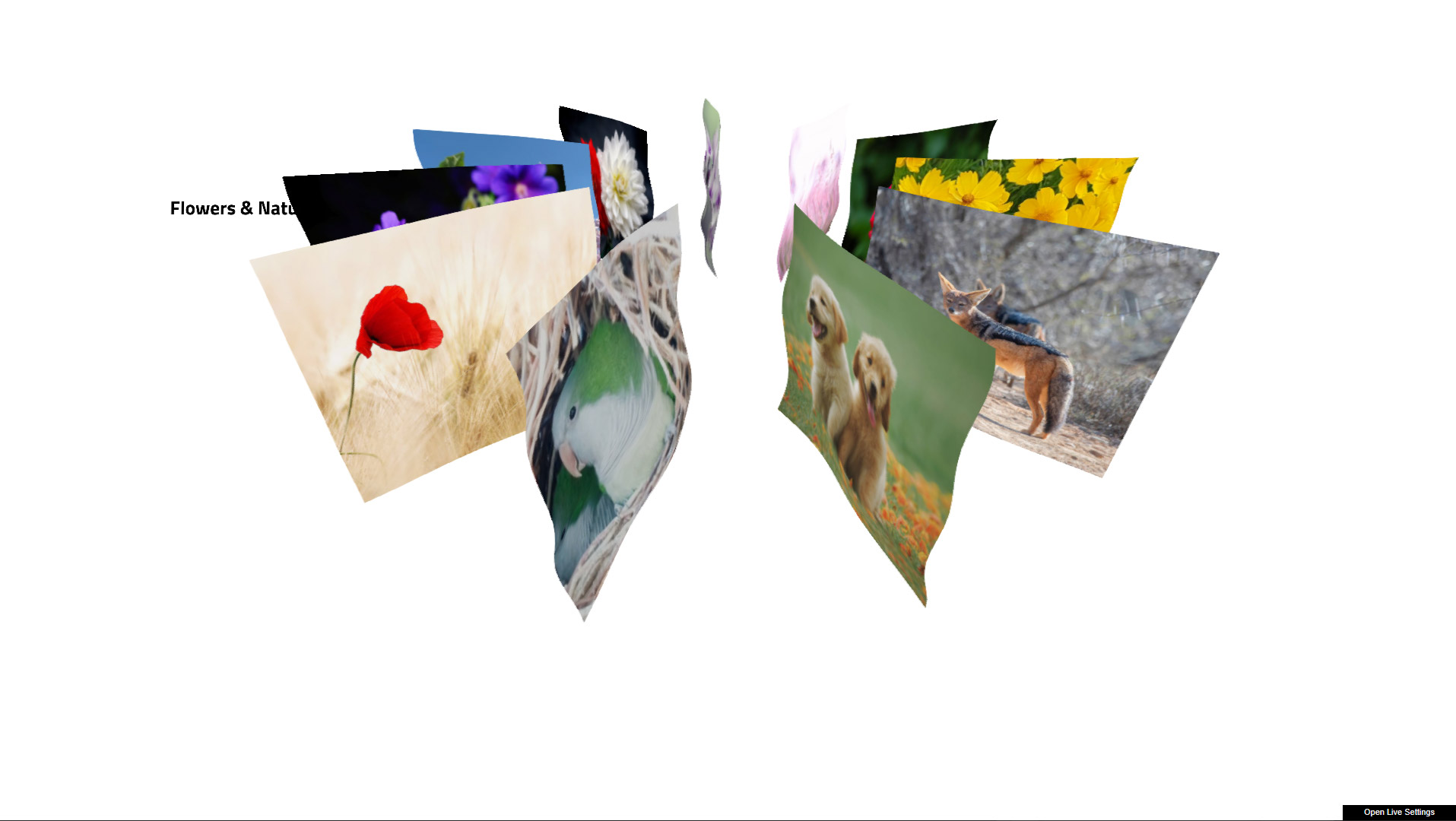 Circular 3D Carousel by FWDesign | CodeCanyon