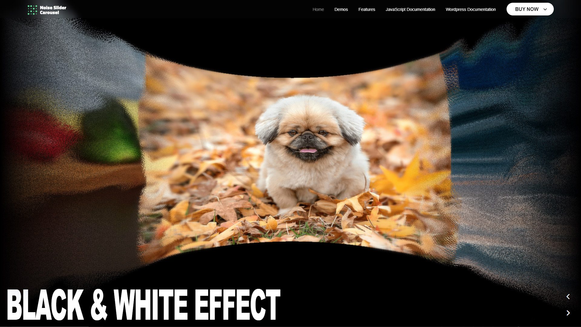 Noise Slider Carousel by FWDesign | CodeCanyon