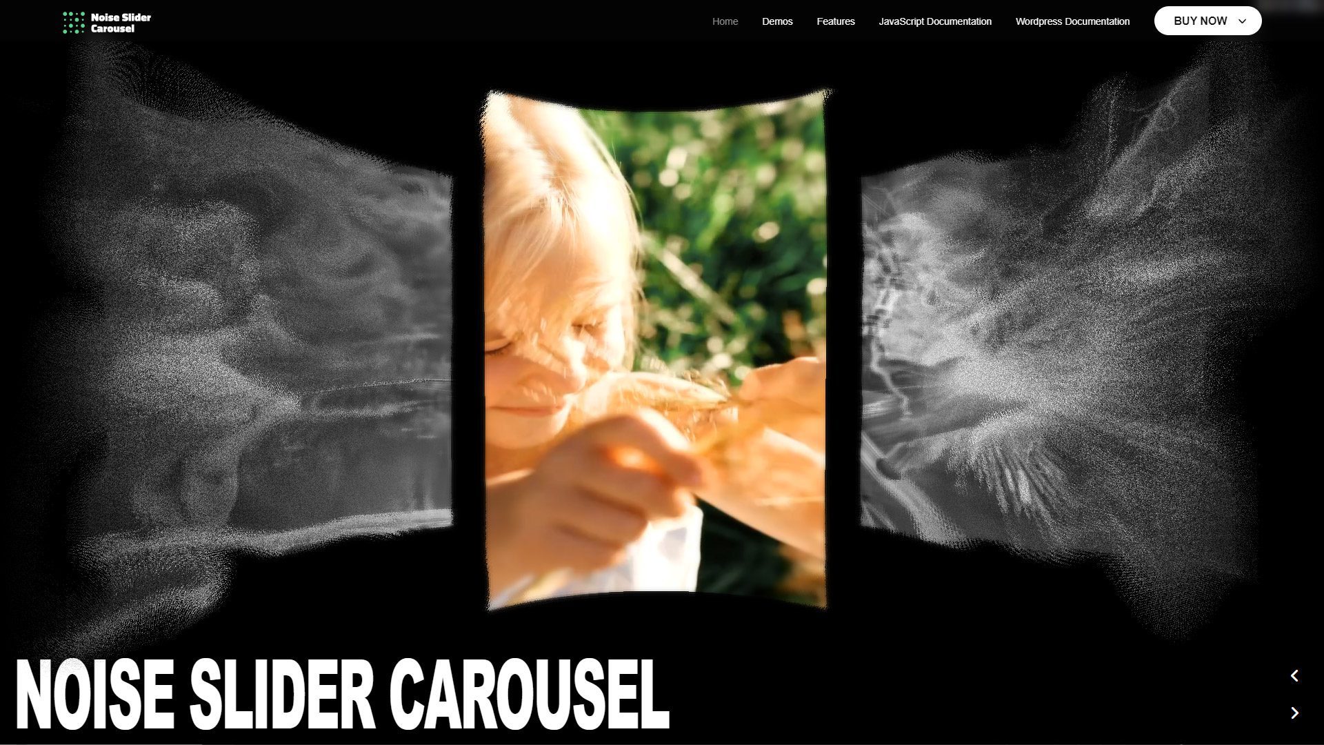 Noise Slider Carousel by FWDesign | CodeCanyon