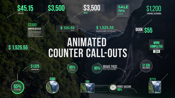 Animated Counter Call-Outs, After Effects Project Files | VideoHive
