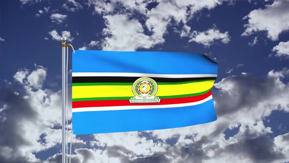 East African Community Flag Waving 4k, Motion Graphics | VideoHive
