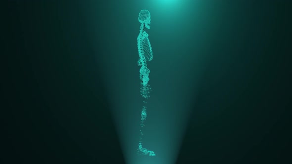 Digital Human Skeleton Hud Hologram, Motion Graphics | VideoHive