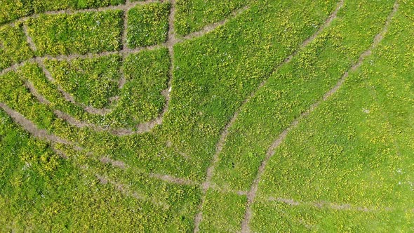 . Aerial Footage Flying Over a Green Field. Top Down View and Rotating ...