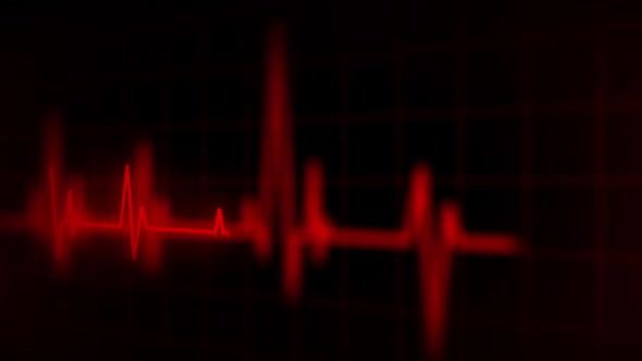 Heart Pulse Rate Monitor Loop, Motion Graphics | VideoHive