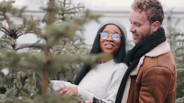 Happy Multiracial Couple Exchanging Gifts at Sprue Trees Market, Stock ...