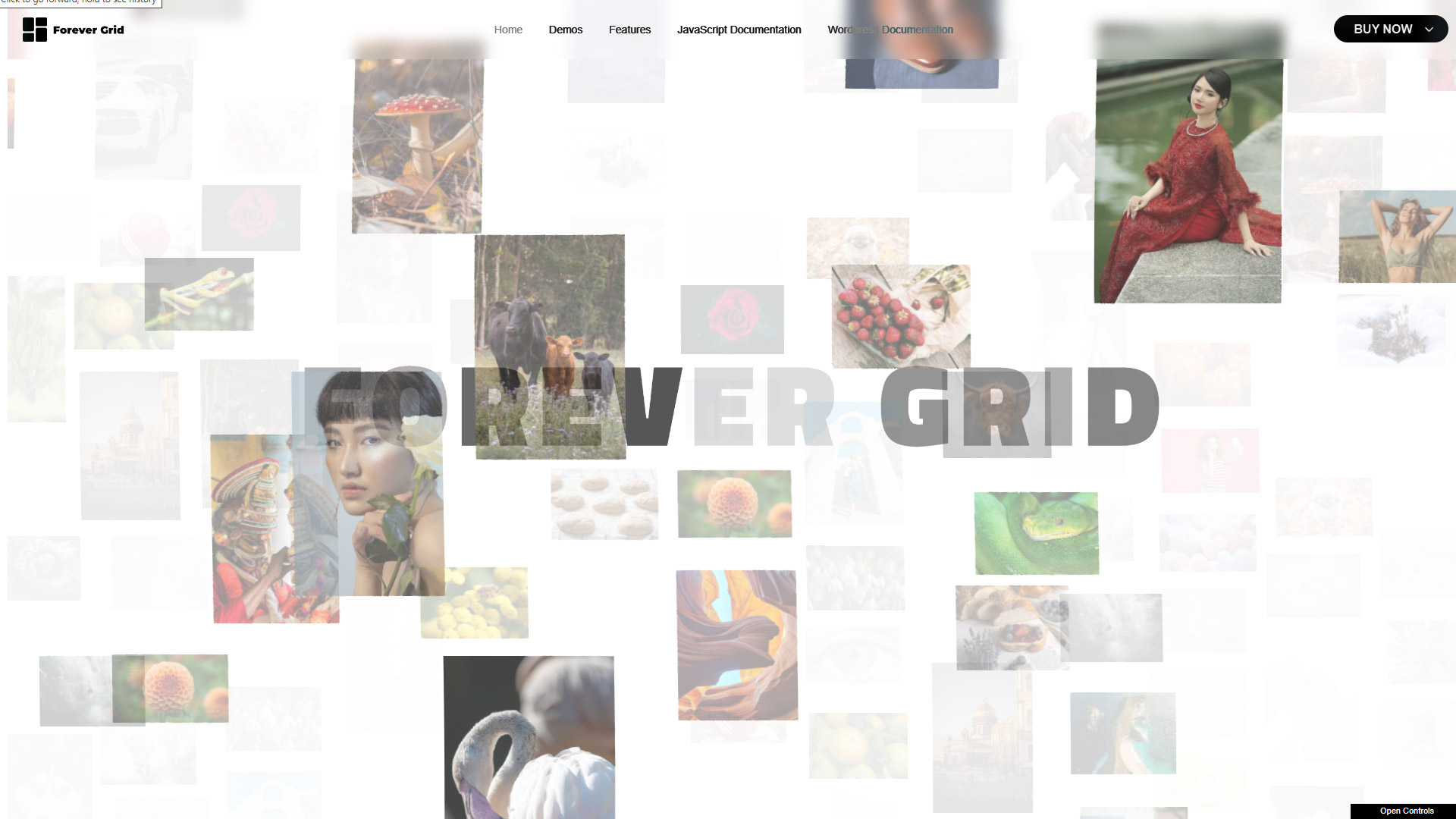 Forever Grid by FWDesign | CodeCanyon