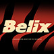 Belix, Fonts | GraphicRiver